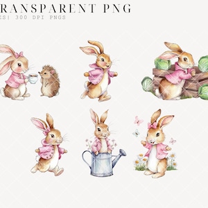 Peter Rabbit Sister Clipart, Baby Shower Design, Diy Card Making ...