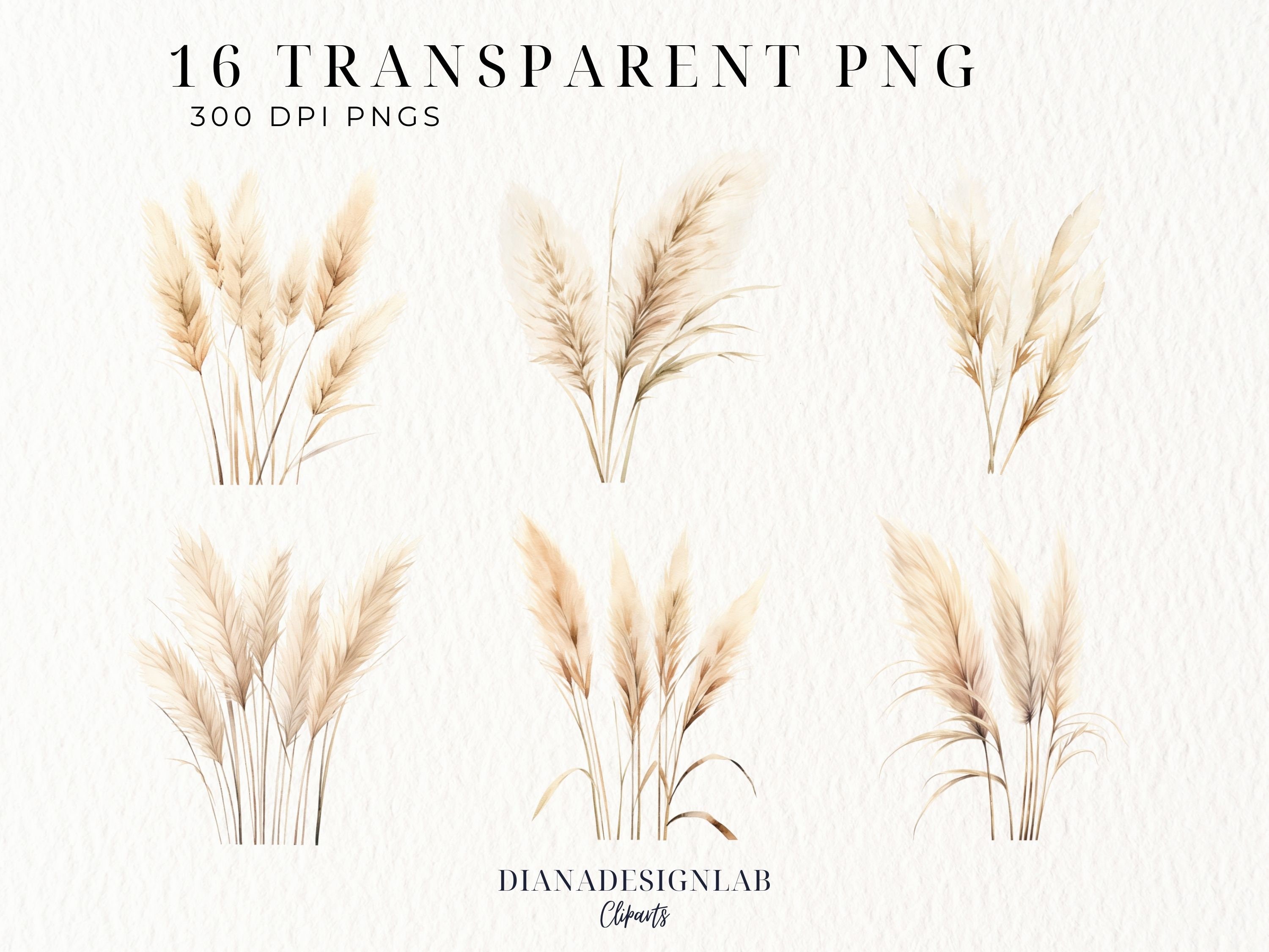 Pampas Grass Clipart, Watercolor Flower, Boho Flowers, Summer Spring ...