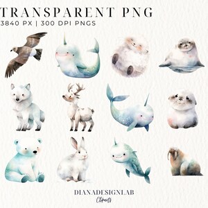 Arctic Animals Watercolor Clipart, Penguins, Winter Holiday Graphic ...