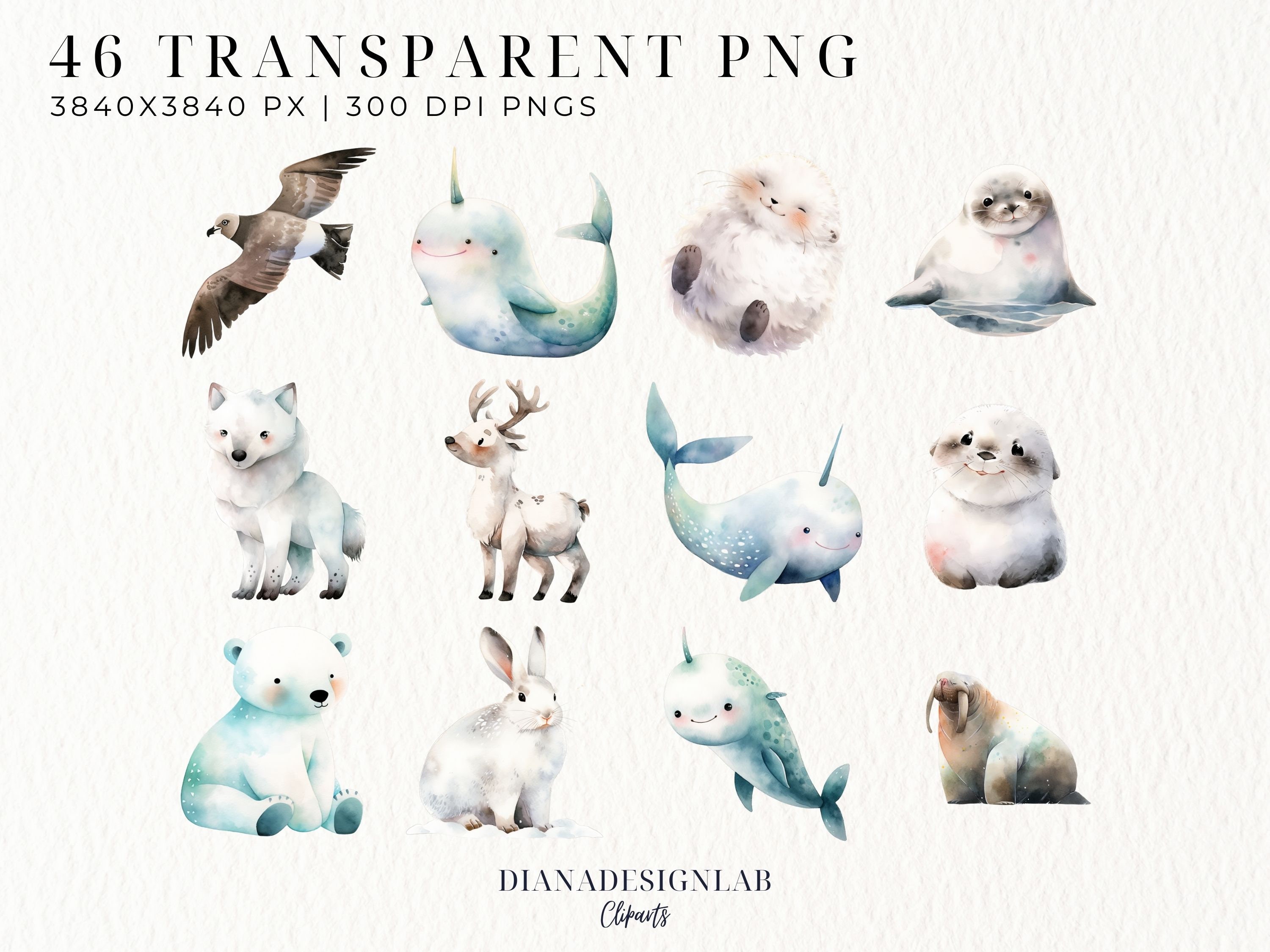 Arctic Animals Watercolor Clipart, Penguins, Winter Holiday Graphic ...