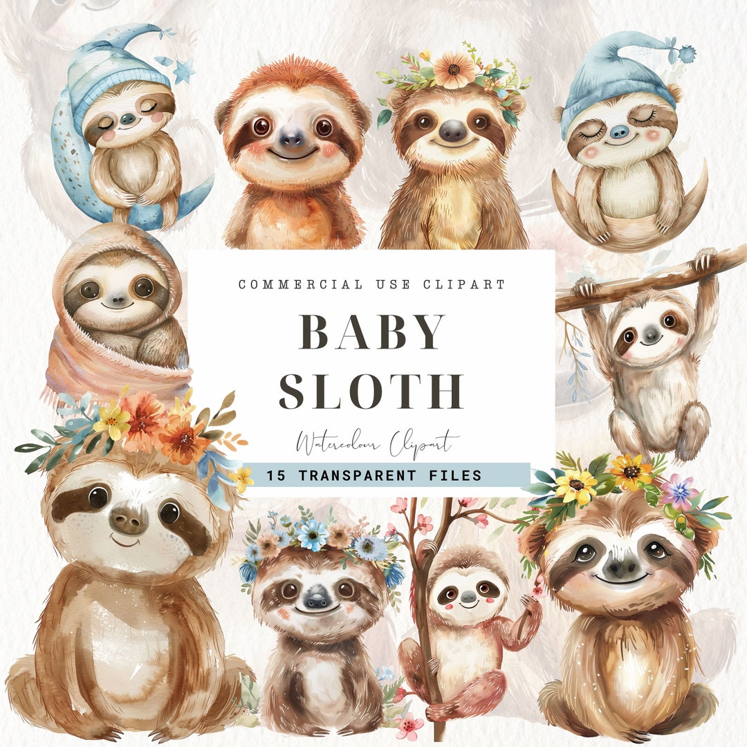 Watercolor Baby Sloth Clipart, Cute Sloth PNG Woodland Animal, Forest ...