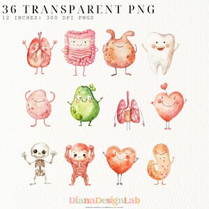 Funny Anatomy Clipart, Watercolor Human Body Organs Clipart, Skeleton ...