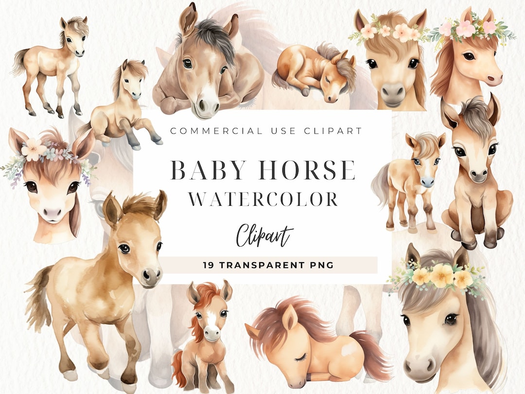 Watercolor Baby Horse Clipart, Baby Animals, Western Clipart, Baby ...