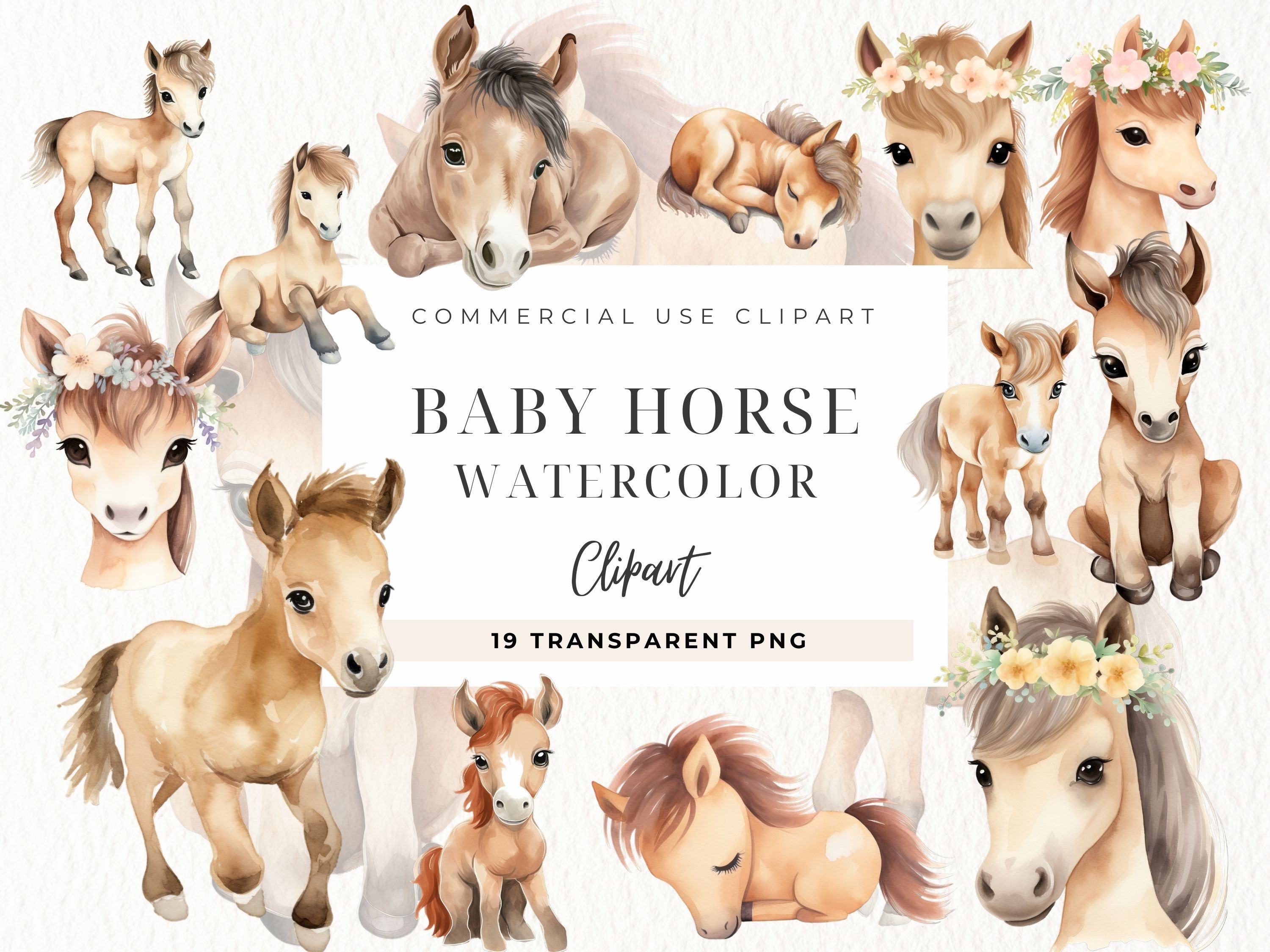 Watercolor Baby Horse Clipart, Baby Animals, Western Clipart, Baby ...