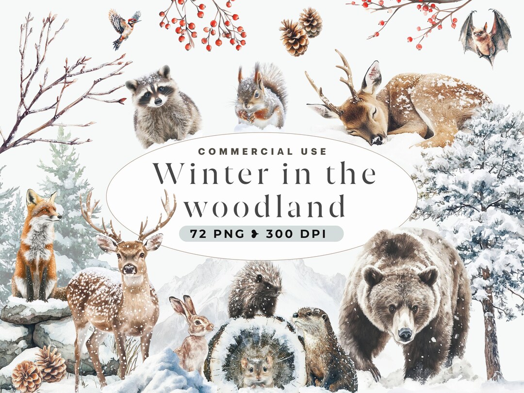 Winter Woodland Animals Clipart: Forest Landscape PNG Graphics (72 ...