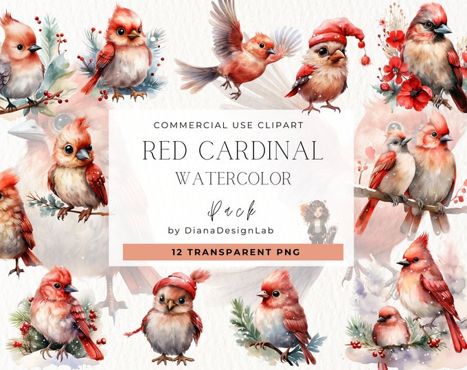 Christmas Red Cardinal Clipart Bundle Winter Bird JPG Red Cardinal Snow ...
