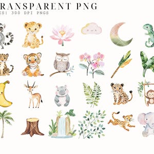 Safari Doodle Clipart, Cute Animals, Jungle Baby Png, Kawaii Animals ...