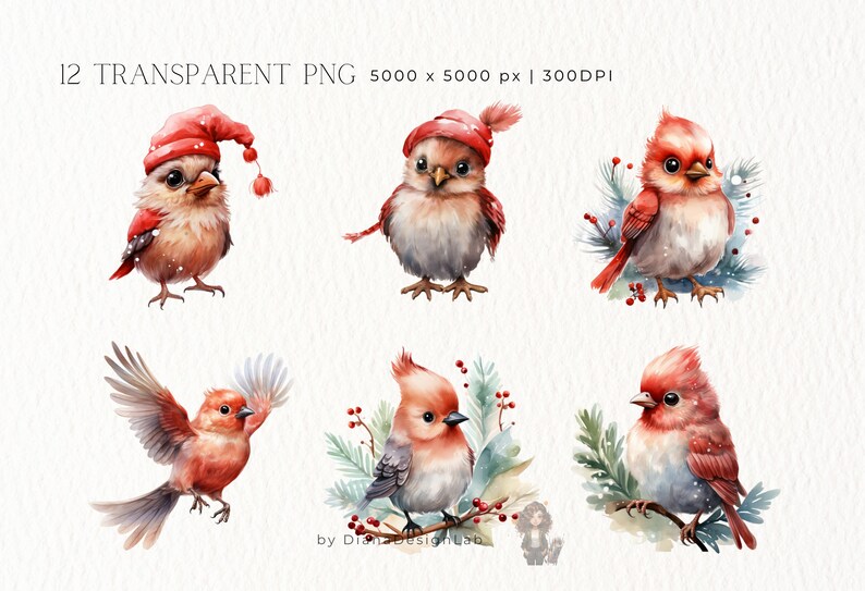 Christmas Red Cardinal Watercolor Clipart, Winter Birds, Watercolor ...