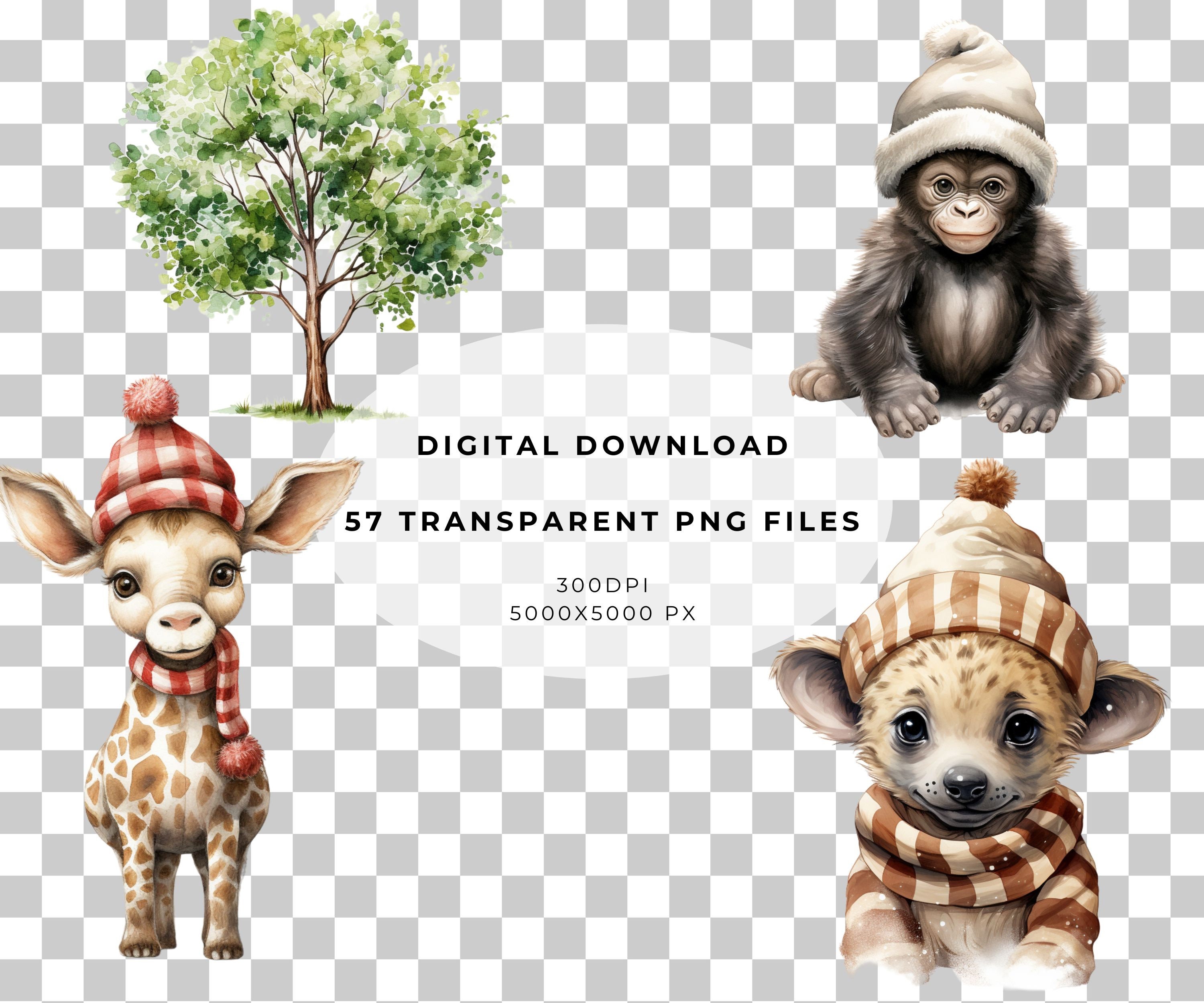 Safari Christmas Clipart Bundle, Winter Clipart, Safari Watercolor ...