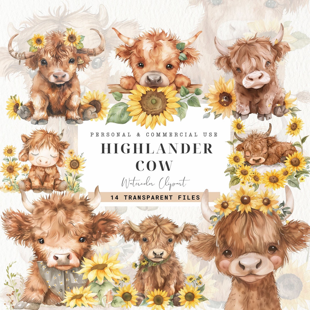 Highlander Cow Clipart, Digital Download, Watercolor Sunflower Highland ...