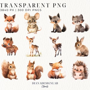 Boho Woodland Animal Clipart, Creatures Clip Art, Forest, Bunny Rabbit ...