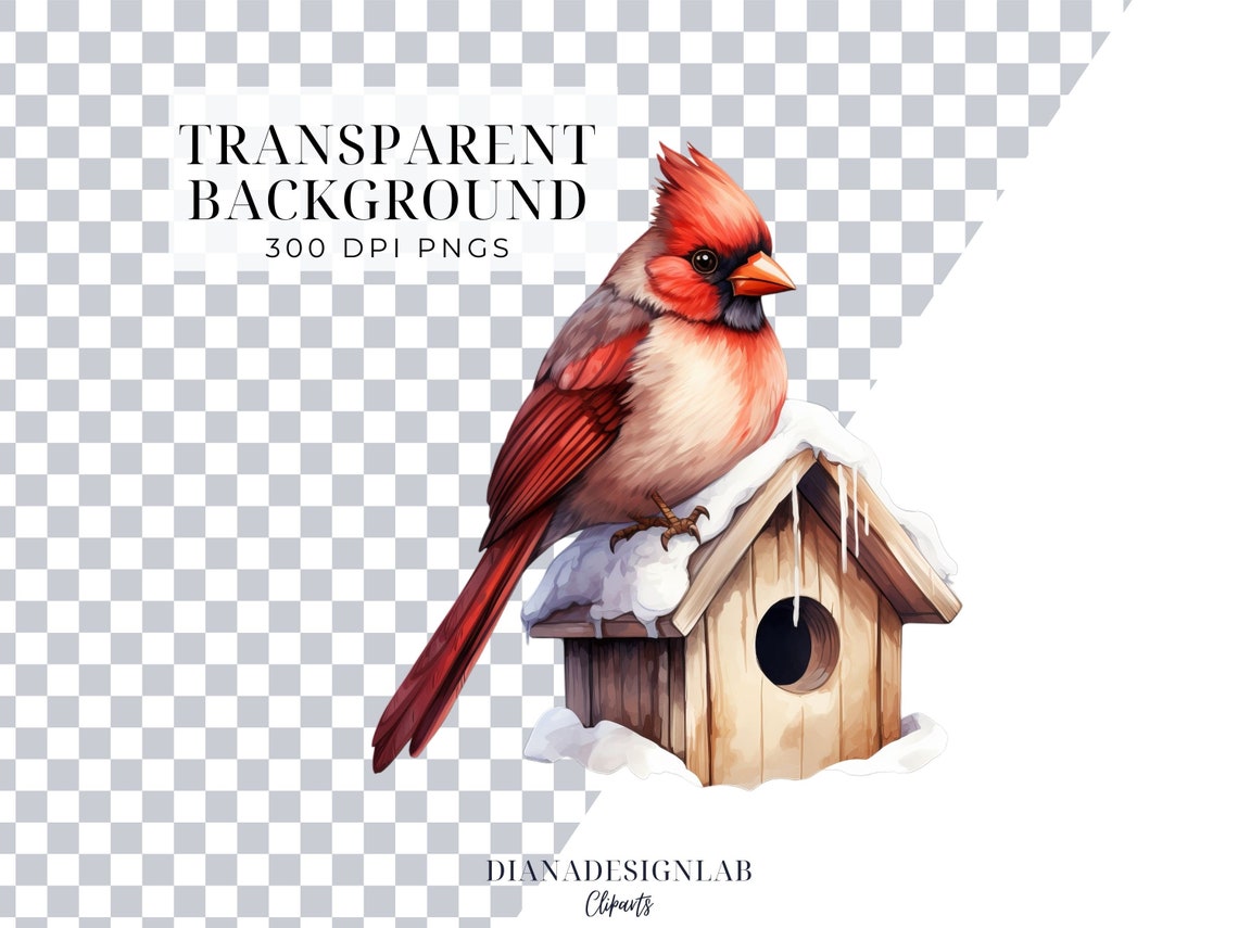 Birdhouse Winter Clipart, Png Digital Download, Christmas Watercolor ...