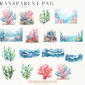 Ocean Animals Clipart Watercolor, Cute Under the Sea, Sea Turtle, Sea ...