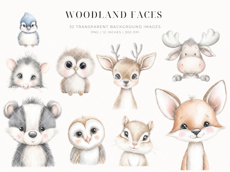Watercolor Woodland Portraits Clipart, Nursery Decor, Baby Animals ...