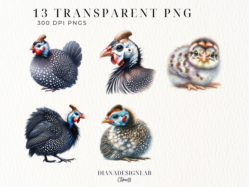 Guineafowl Clipart, Helmeted Guinea Fowl, Watercolor Clipart, Printable ...