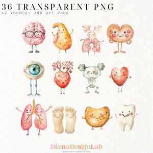 Funny Anatomy Clipart, Watercolor Human Body Organs Clipart, Skeleton ...