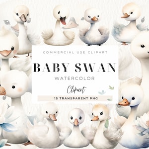Baby Swan Clipart, Swan Png, Baby Shower, Nursery Svg, Commercial Use ...