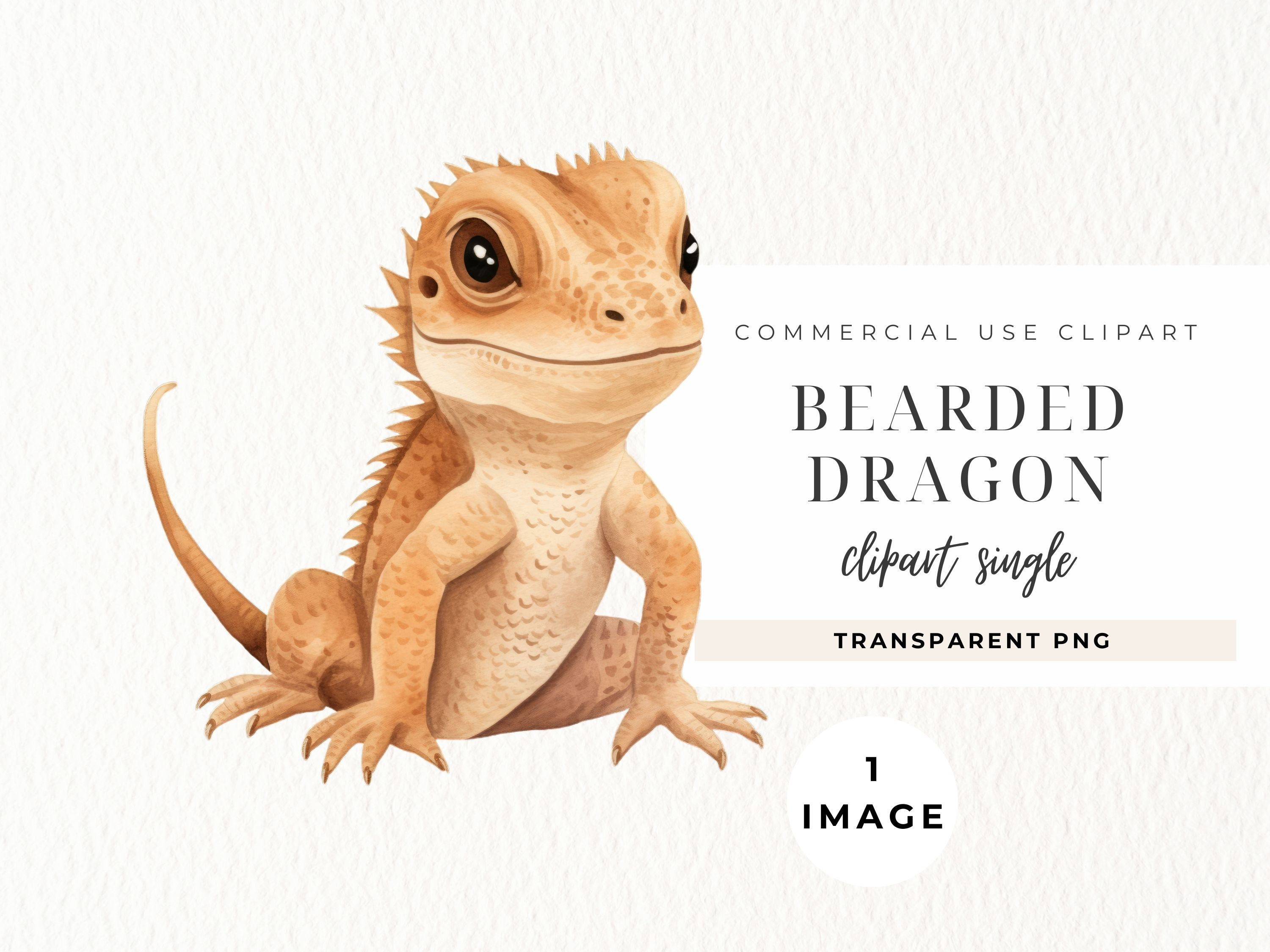 Bearded Dragon Clipart, Lizard Cutfile, Lizard Graphic, Zoo Keeper Gift ...