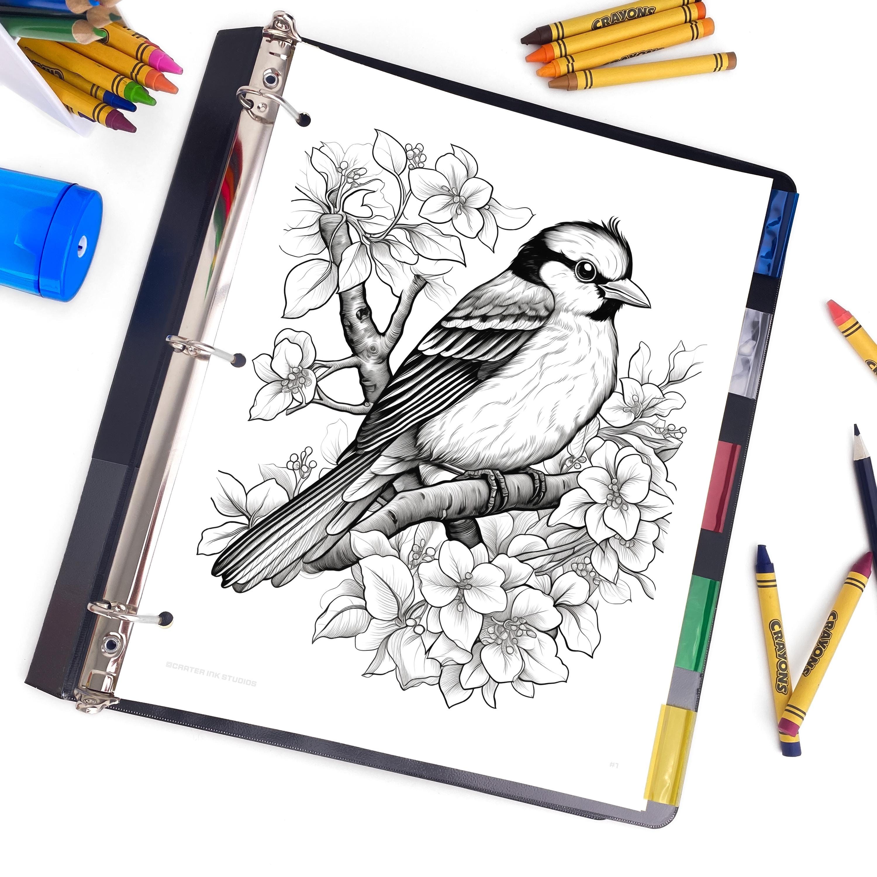 Printable Coloring Book | Bird | 25 Pages | Fun Activity | Kids-adults ...