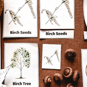 Trees and Leaves Learning Pack - Etsy