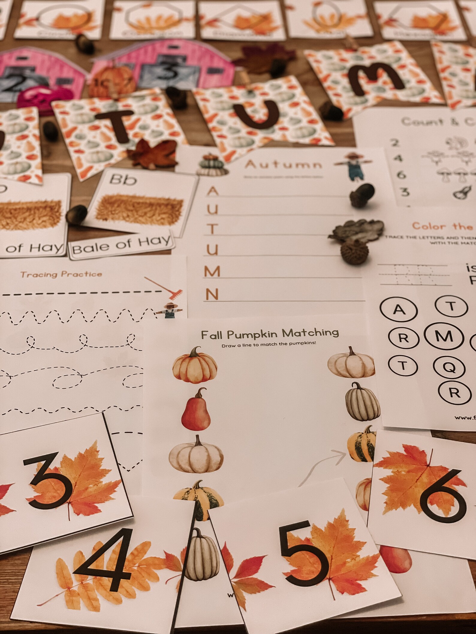 Fall Learning Pack - Etsy