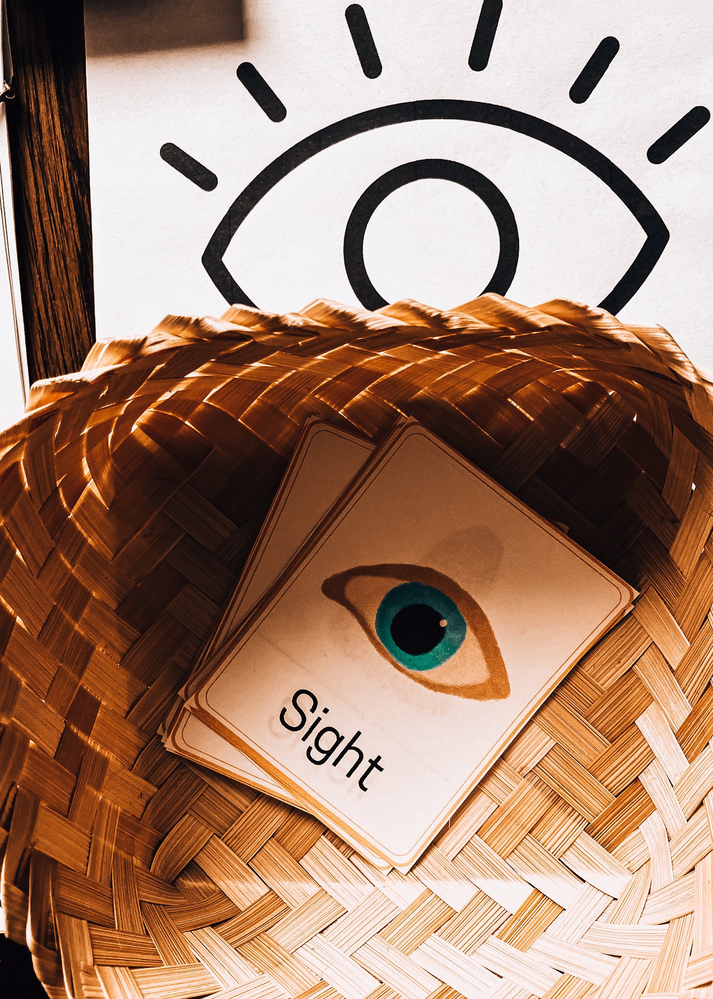 5 Senses Learning Pack - Etsy