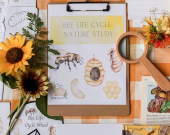 Life Cycle of a Honey Bee Printable, Bee Science Unit Study, Honey Bee ...