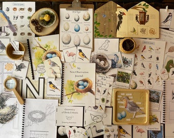 Nesting Birds Mega Bundle Nature Study, Charlotte Mason, Homeschool ...