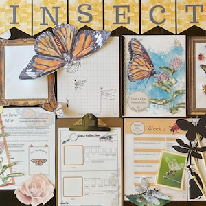 Insect Nature Study Unit - Etsy