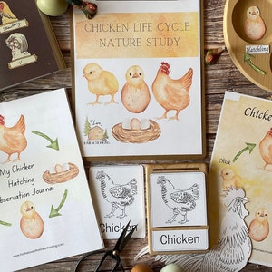 Chicken Life Cycle Nature Study - Etsy