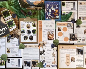 Bear Learning Activities, Bear Unit Study, Learn About Animals, Zoo ...