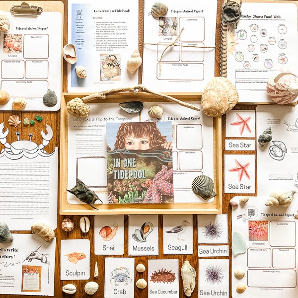 Tidepools - Etsy