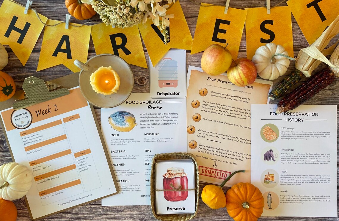 Harvest Nature Study - Etsy
