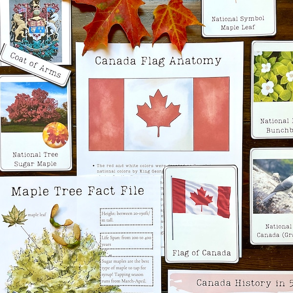 Canadian Fact Worksheets, Flash Cards, Provinces, Territories, Matching ...