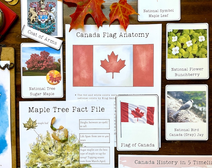 CANADA Canadian North America Continent Study | Activities, Crafts ...