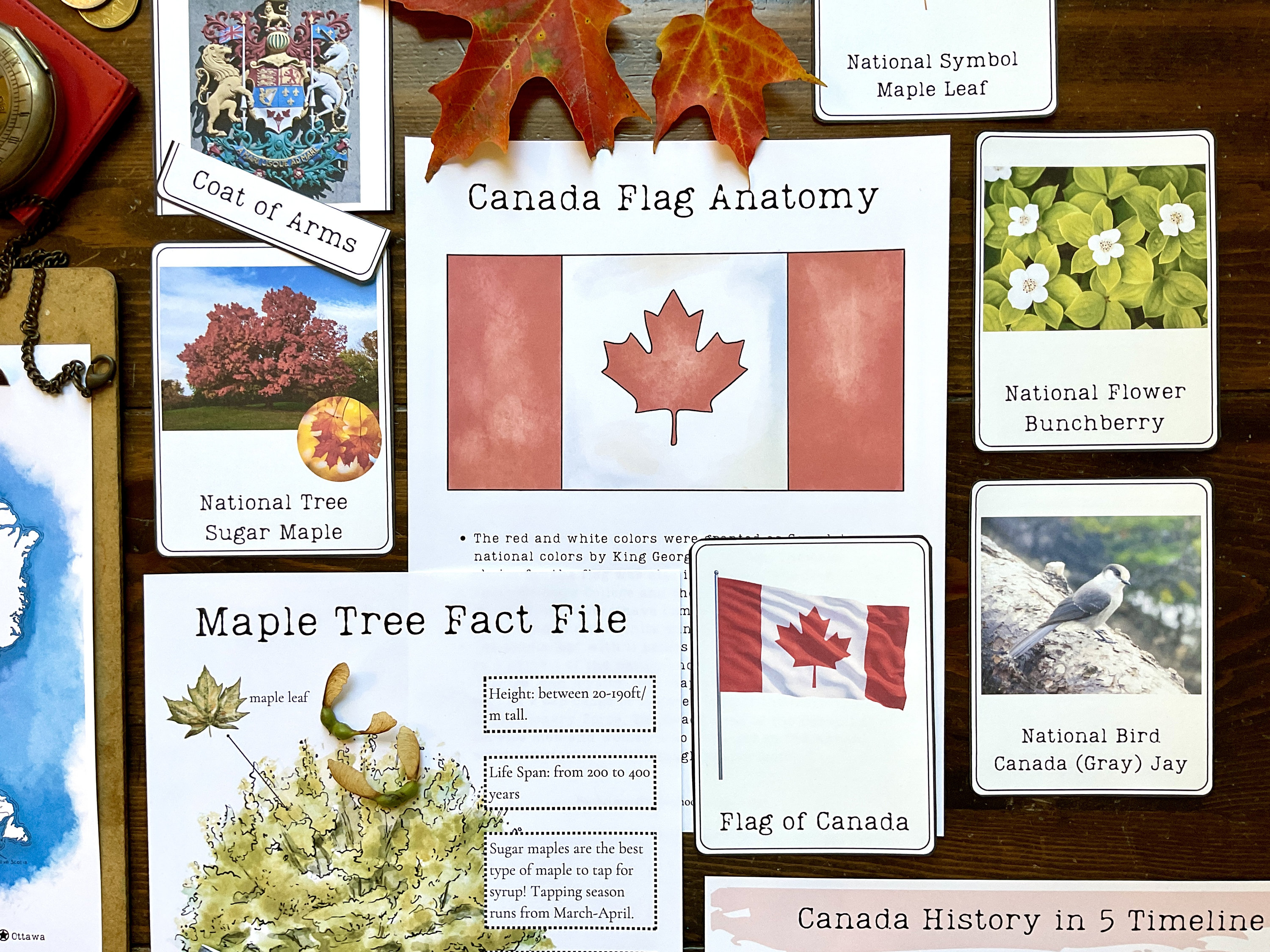 Canada Unit Study - Etsy