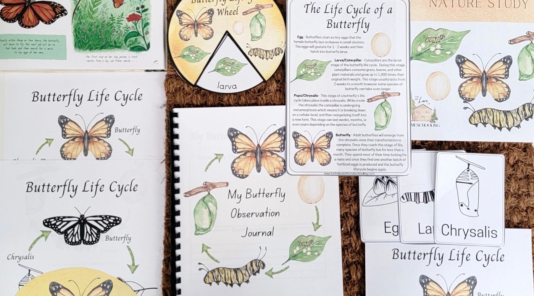 Butterfly Life Cycle Journal A Kid's Guide To Butterflies At The