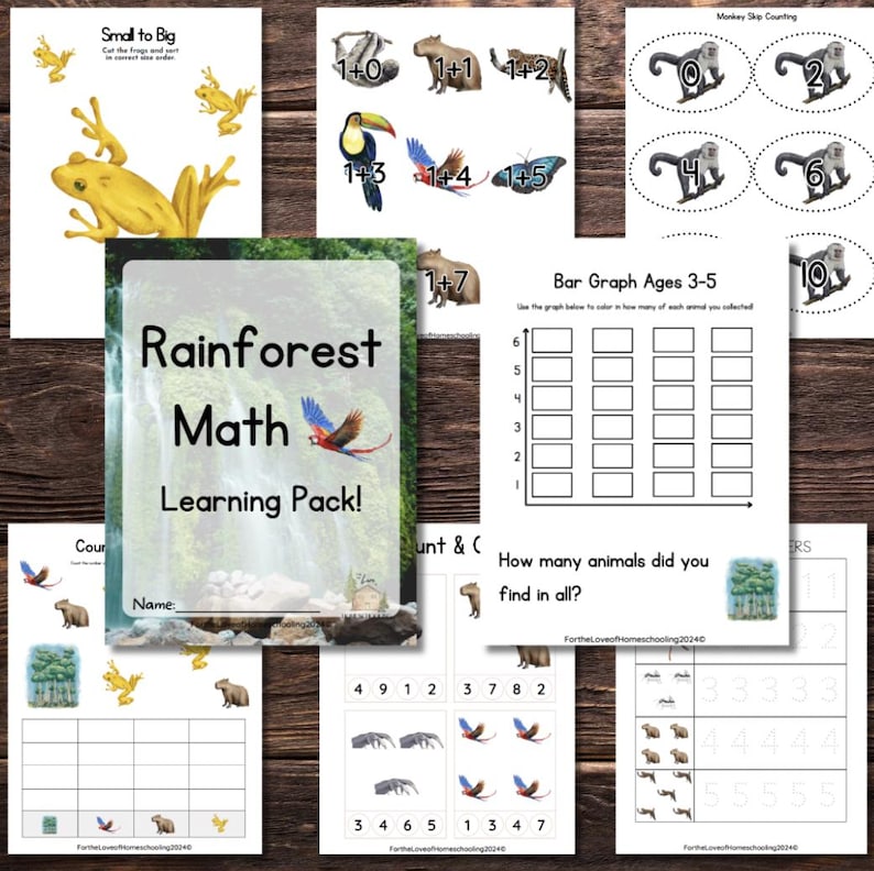 Rainforest Math Pack - Etsy