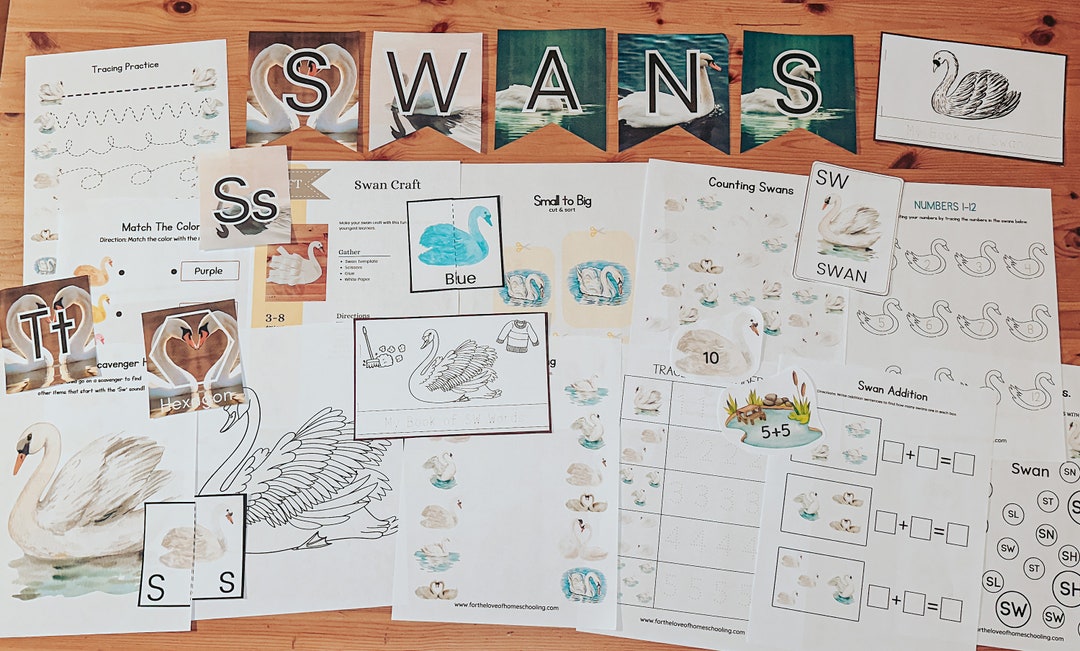 SW is for Swan Learning Pack - Etsy Australia