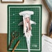 Hammerhead Shark Dissection - Etsy