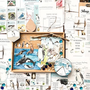 Macaroni Penguin Unit Study - Etsy