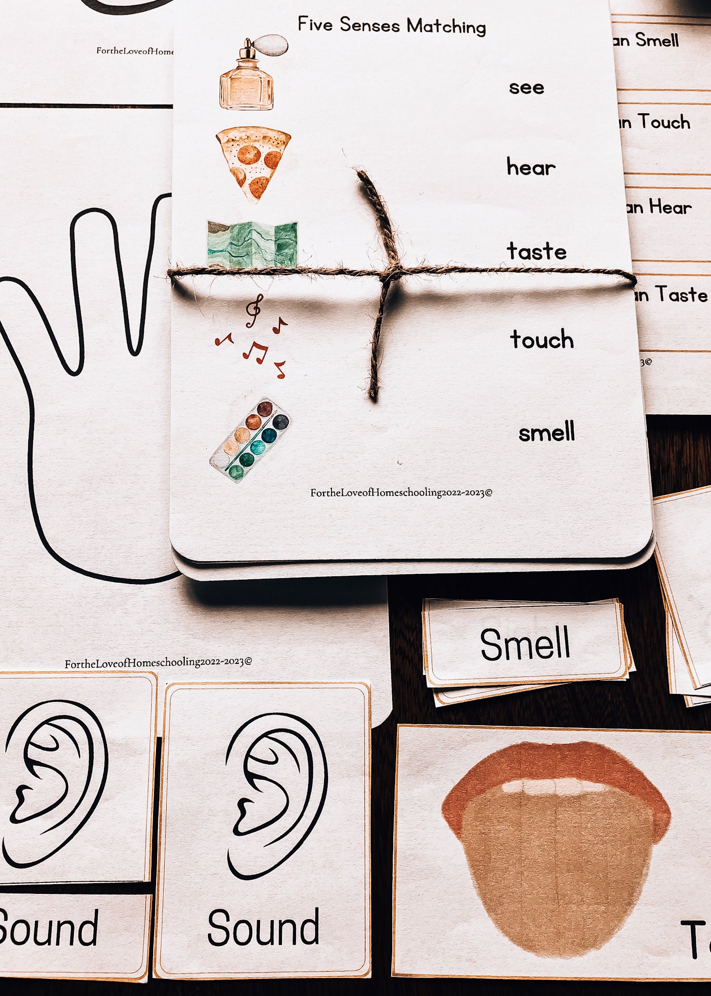 5 Senses Learning Pack - Etsy