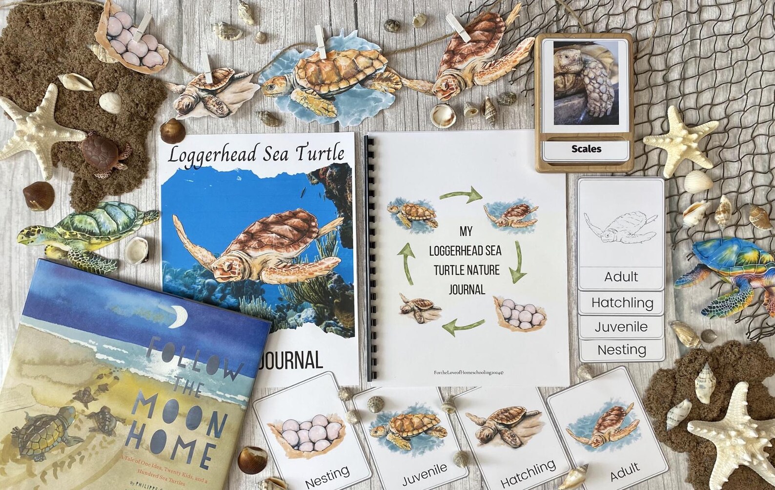 Loggerhead Sea Turtle Nature Study - Etsy