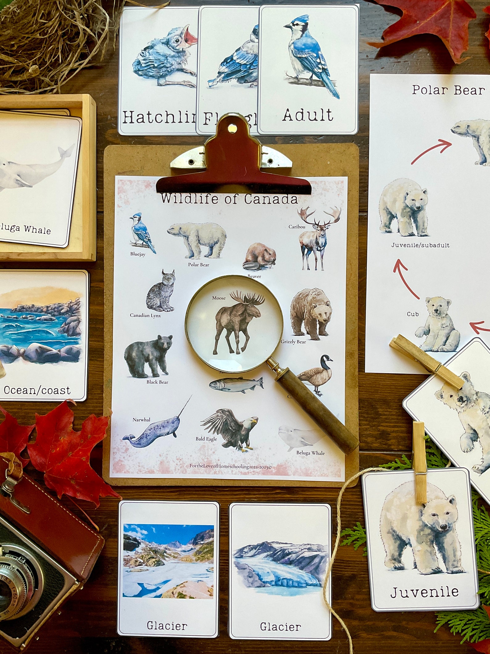 Canada Unit Study - Etsy