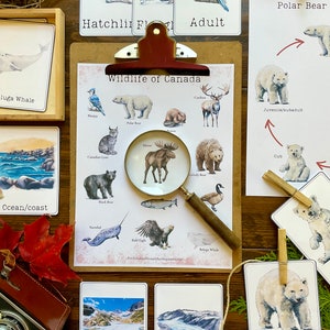 Canada Unit Study - Etsy