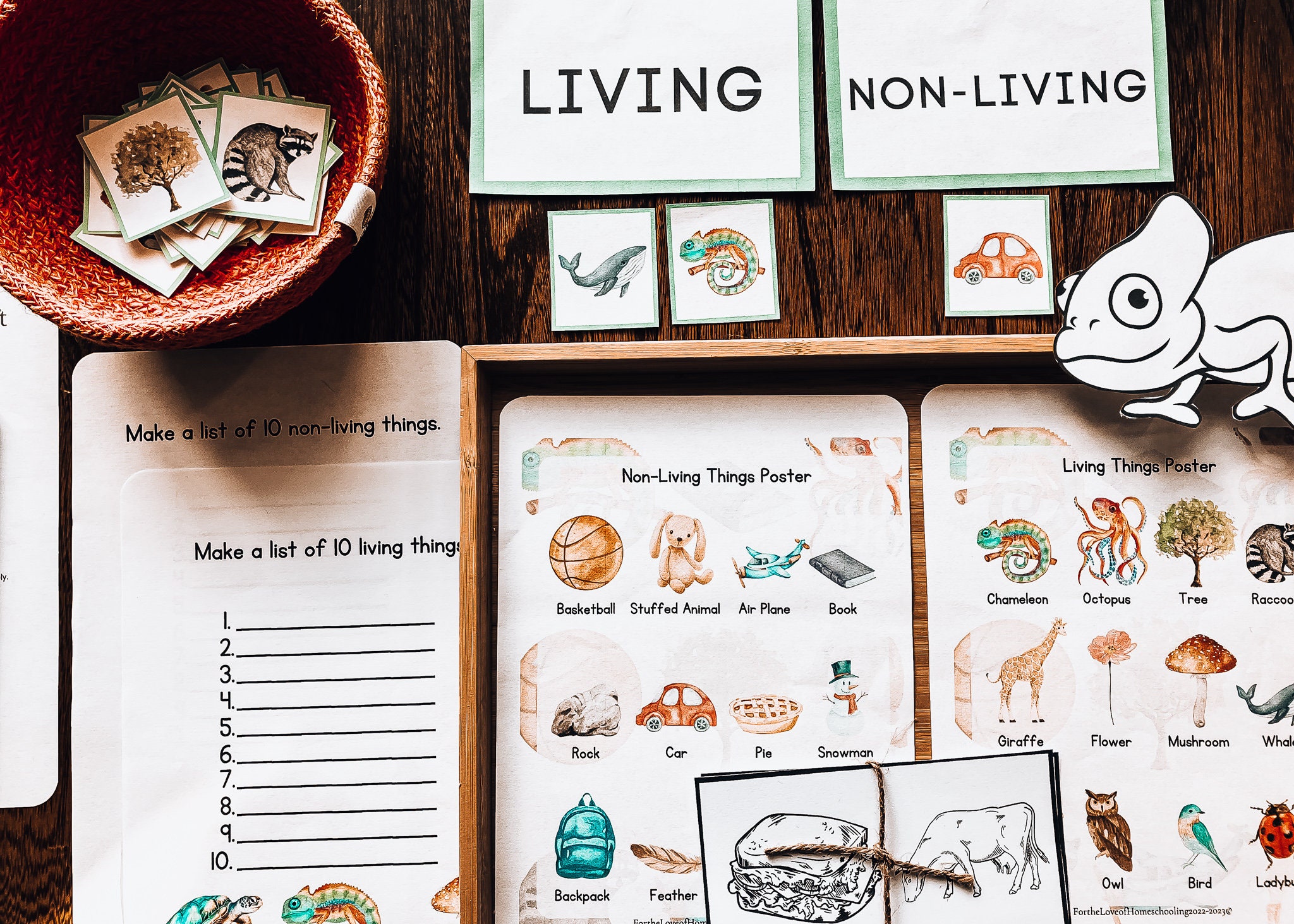 Living and Nonliving Learning Pack - Etsy