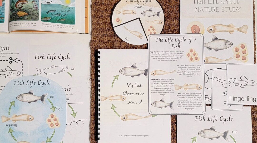 Fish Life Cycle Nature Study - Etsy