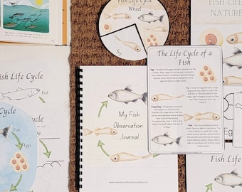 Fish Life Cycle Nature Unit Study, Montessori 3 Part Cards, Life Cycle ...