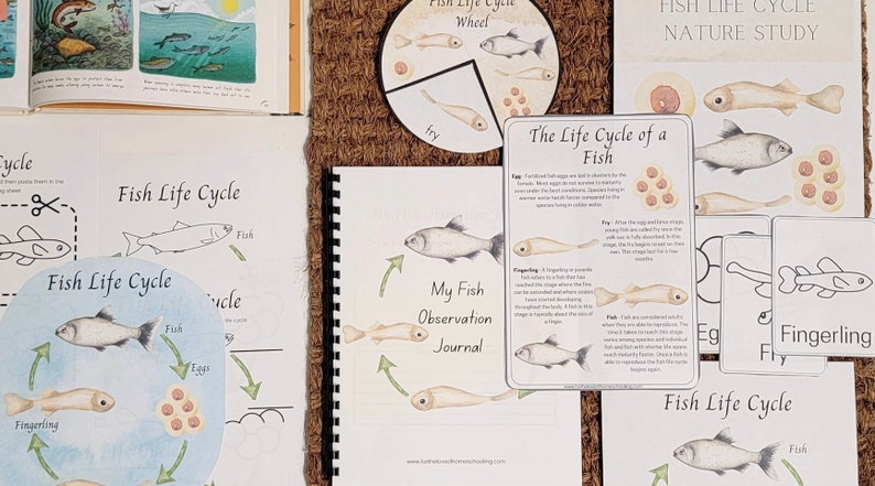 Fish Life Cycle Nature Study - Etsy