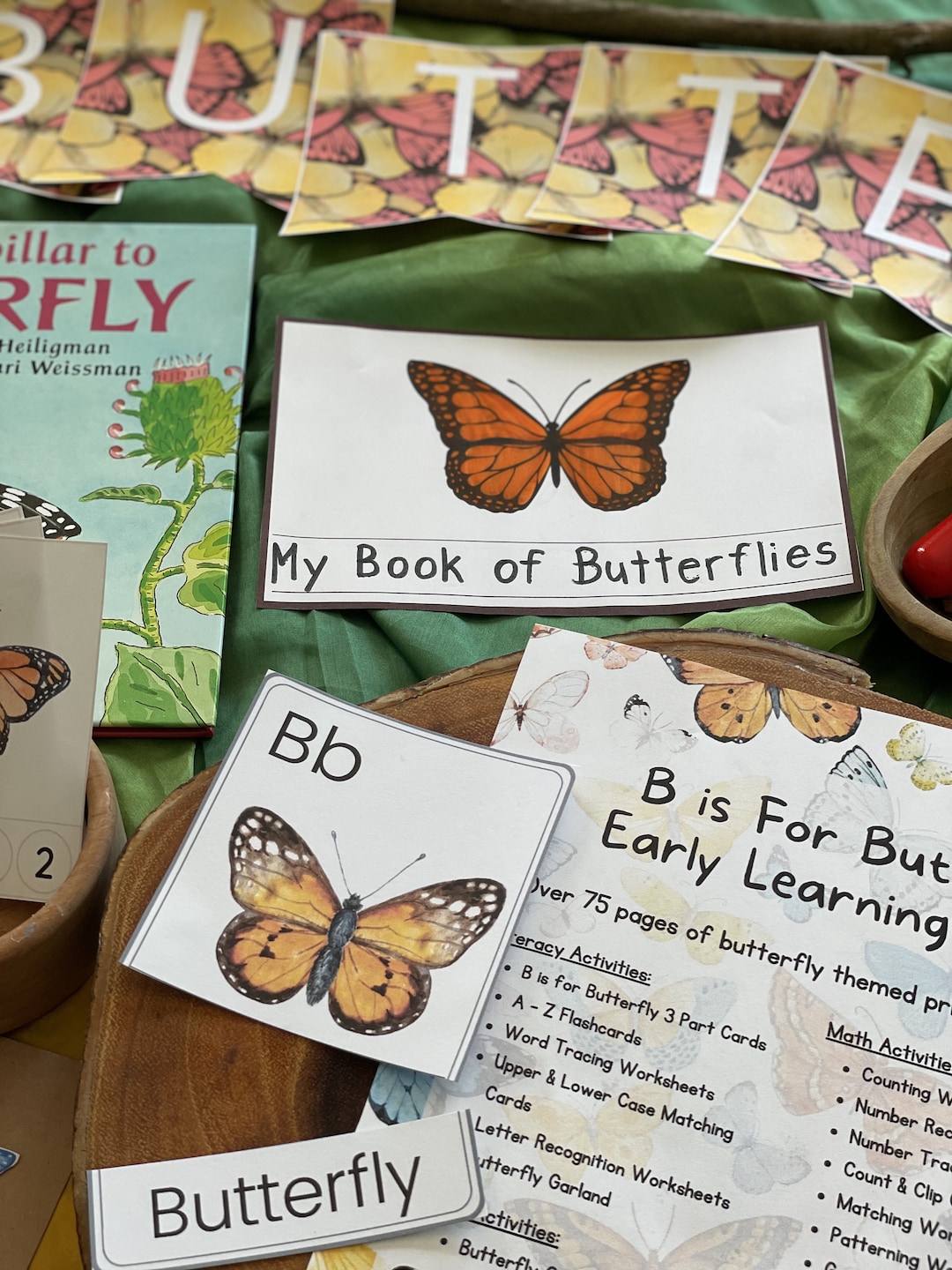 B is for Butterfly Learning Pack - Etsy